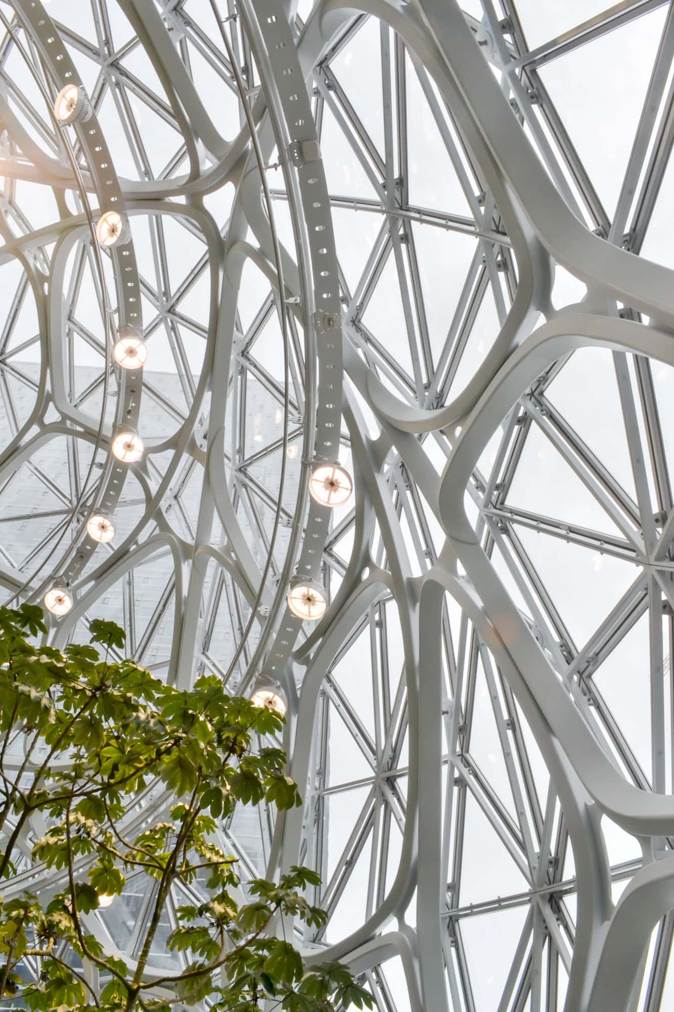 Amazon Spheres - Front